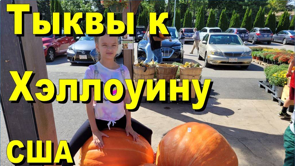 США. Распродажа тыкв к Хэллоуину. Кукурузный лабиринт на ферме.