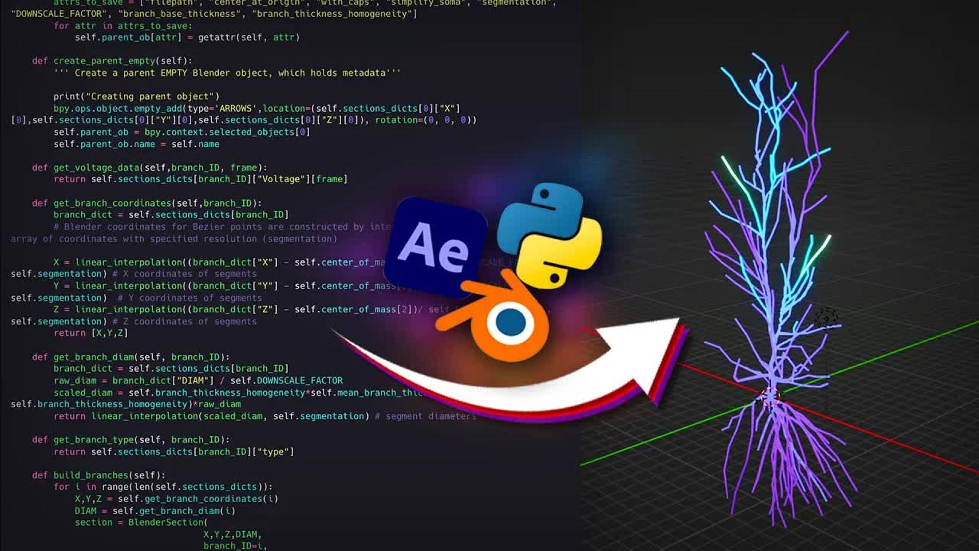 Artem Kirsanov [рус] _ How I make science animations