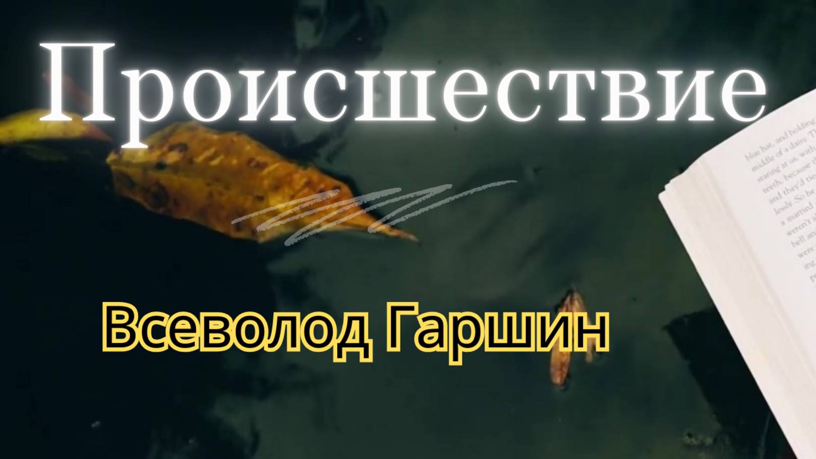 Всеволод Гаршин ПРОИСШЕСТВИЕ. Аудиокнига