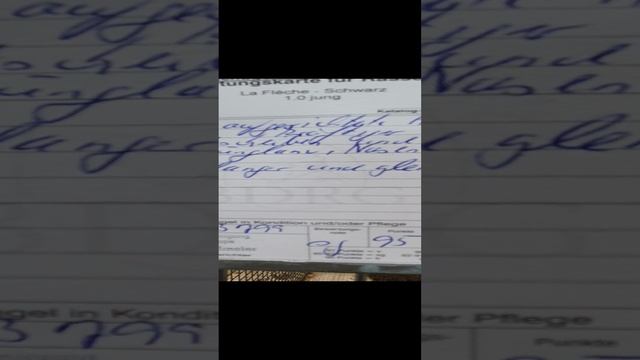 куры Ла флеш