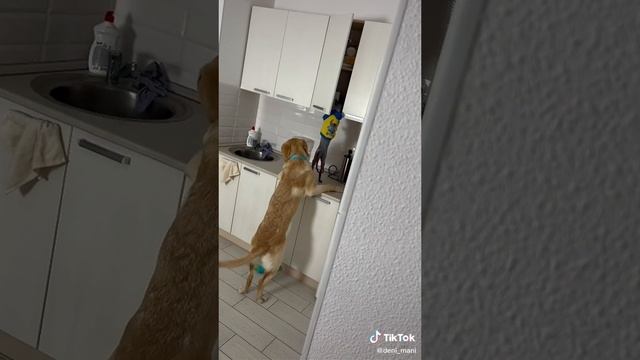 Смотрим. Курс-Энергия мысли.Открой себя.