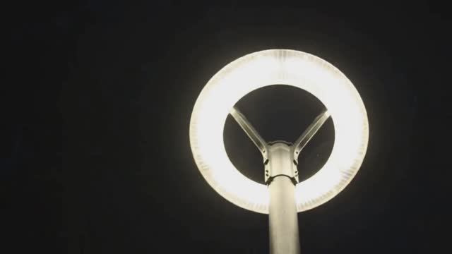 г. Владивосток Парк на ул. Успенского. Опоры освещения