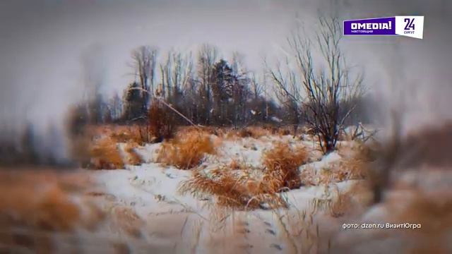 О, Югра!":  Острова возле Мегиона