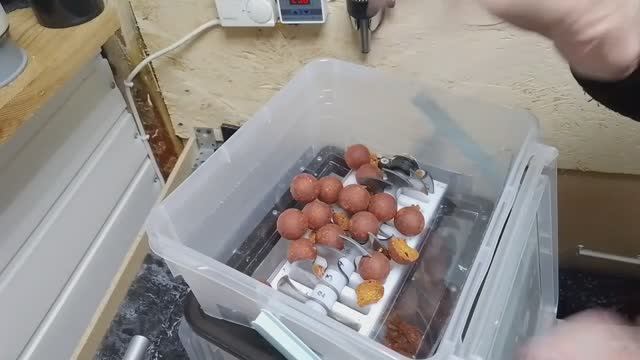 Прототип круши в работе с жесткими бойлами