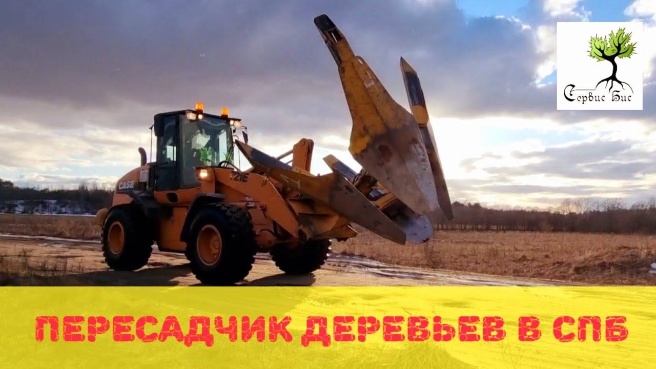 Пересадчик деревьев в СПб