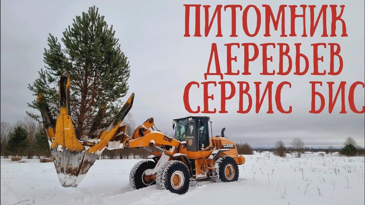 Питомник растений Сервис БиС