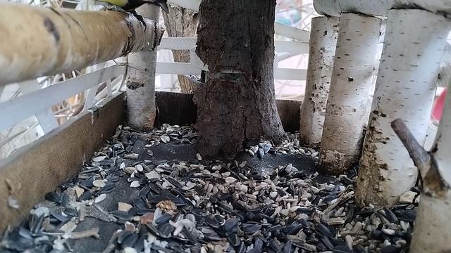 Кушать подано, приятного аппетита.