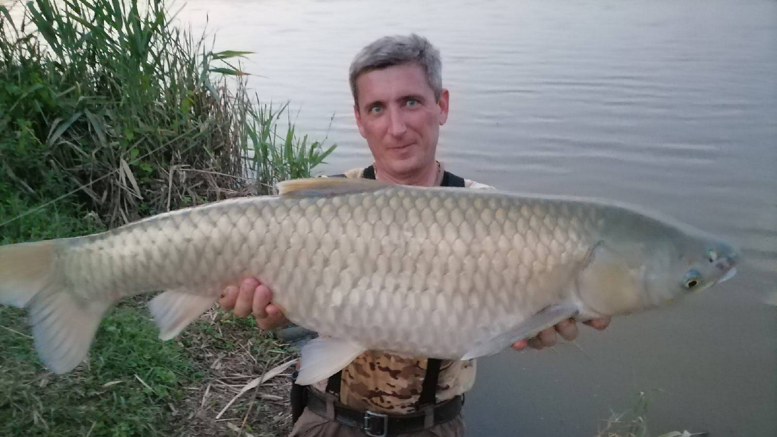 ТРОФЕЙНЫЕ АМУРЫ на Пашкину кукурузу (12 апреля 2023)