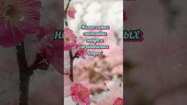 Желаю тебе... #доброеутро#настроение#shorts