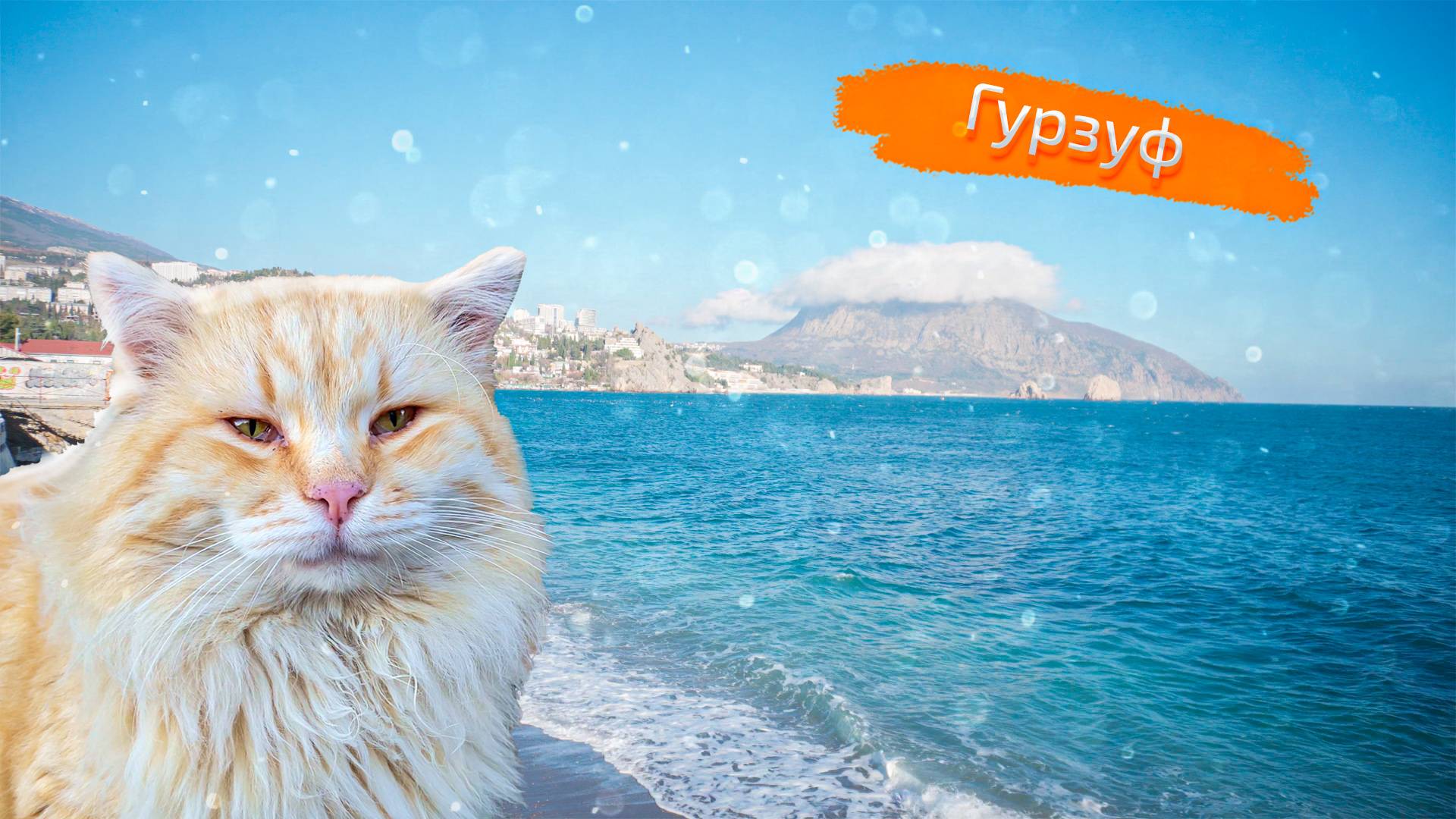 Гурзуф - город отдыха и любителей котиков