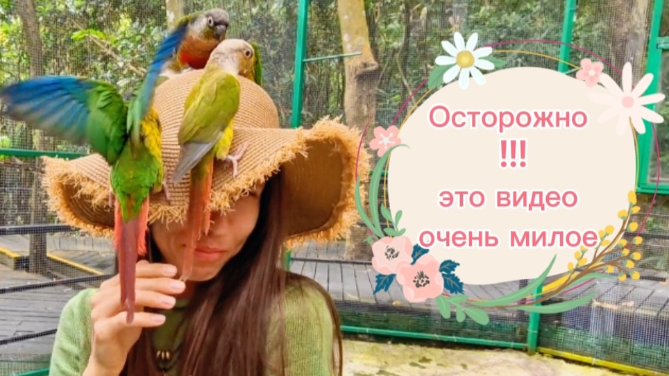 о.Хайнань,  деревня Ли и Мяо