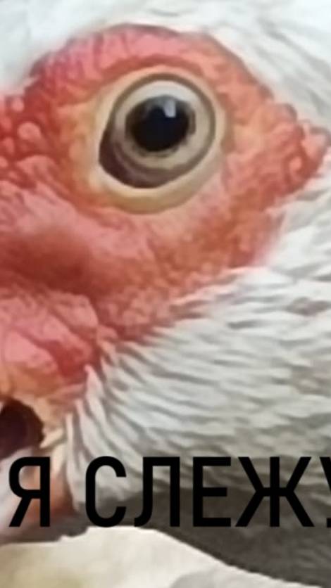 долгожданный выходной