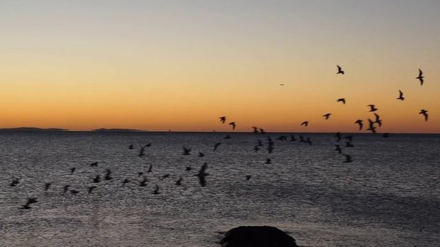 Сура Аль Фаляк