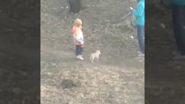 Теплая весна 2020 года