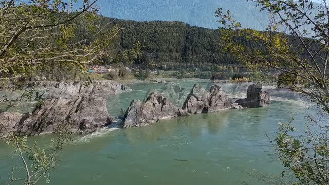 Алтайское золото-2023. День 1