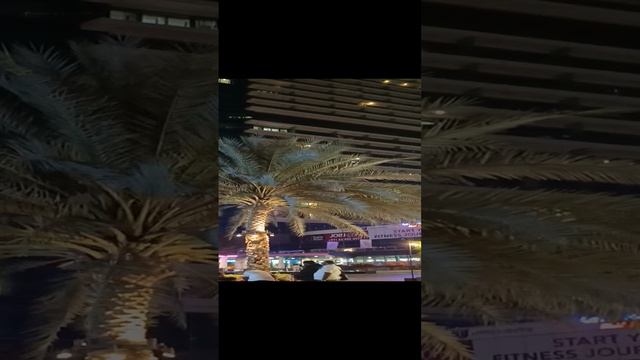 вечерняя прогулка (Дубай) (1)