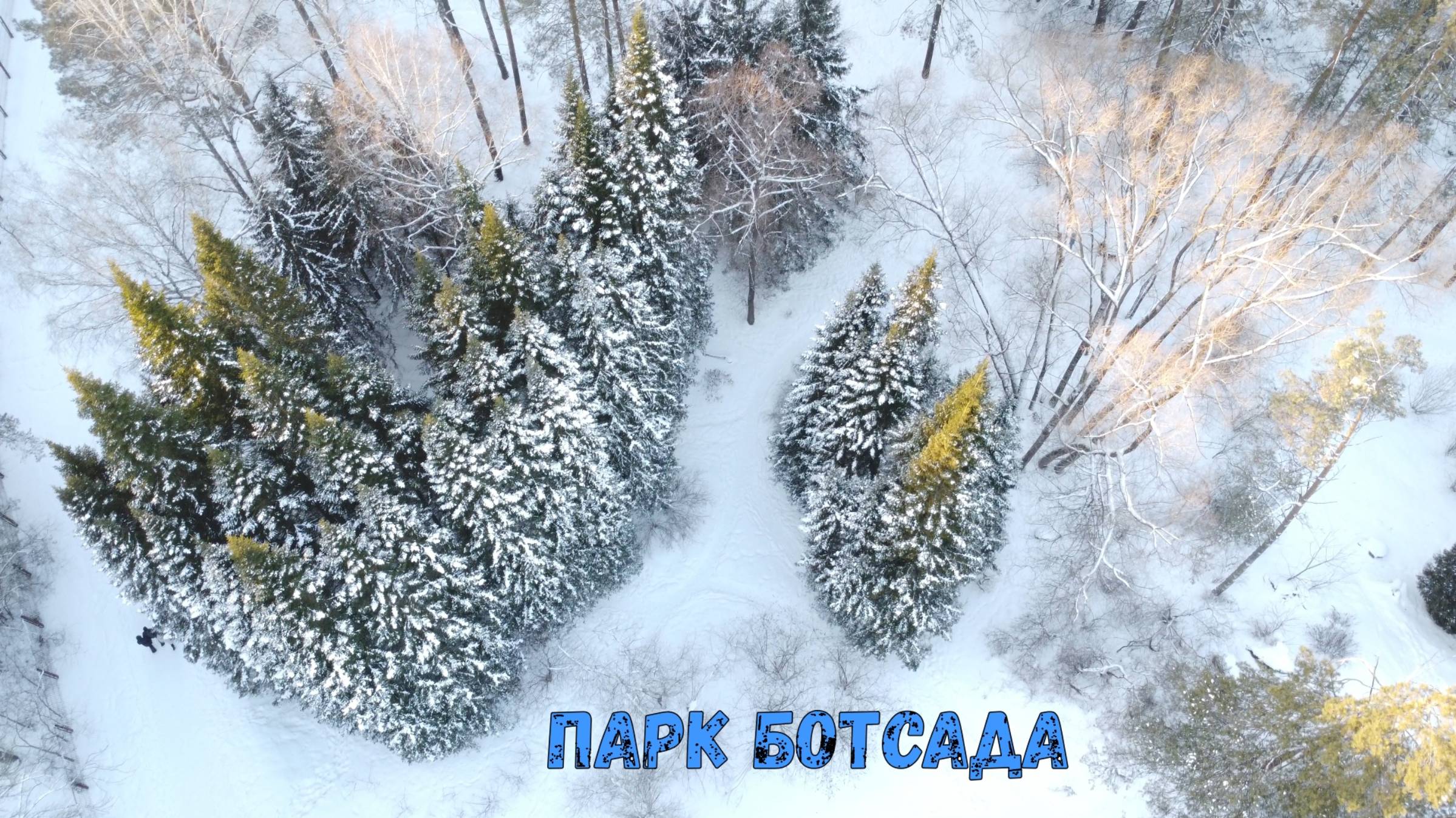 Парк в ботаническом саду зимой