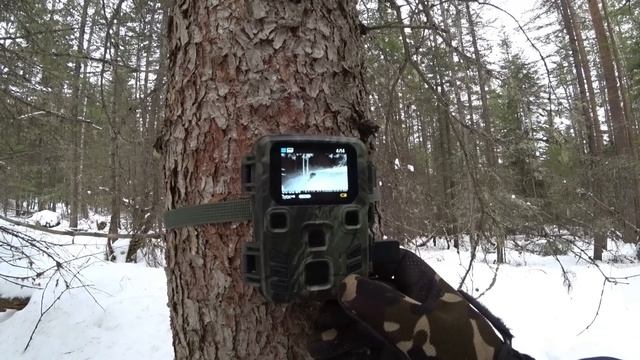 Я строю хижину в тайге. Мы заготовили материалы для двери и окна. На печи готовлю вкусные блюда.