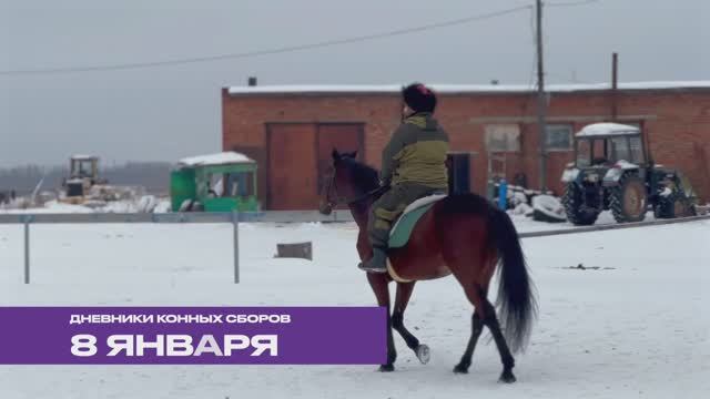 Дневник конных сборов от 8 января