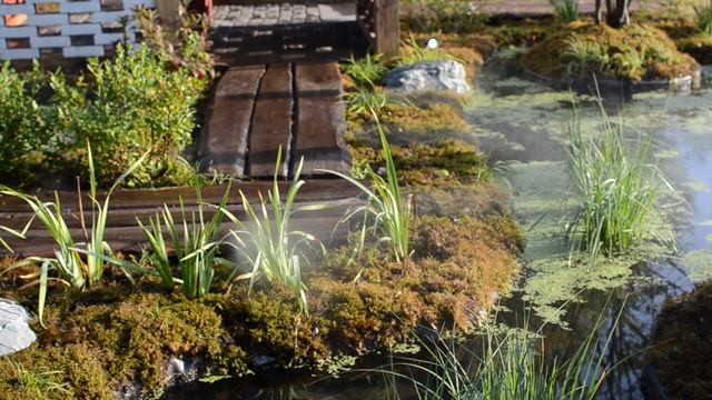 Сад мхов. Это наши потаенные страхи, и понимание своего пути, в этом мире.