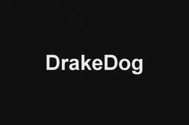 DrakeDog 2 [Warlock]