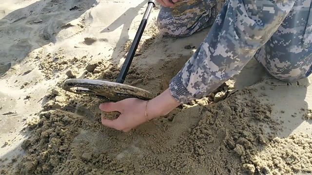 Пляжный коп XP ORX в деле. Нашли золото на пляже.