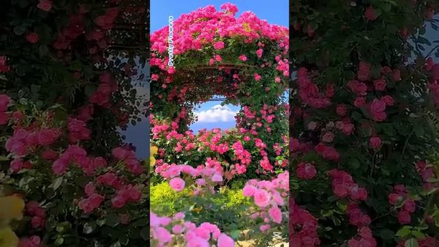 КРАСИВЫЕ ВИДЕО ПРИРОДЫ