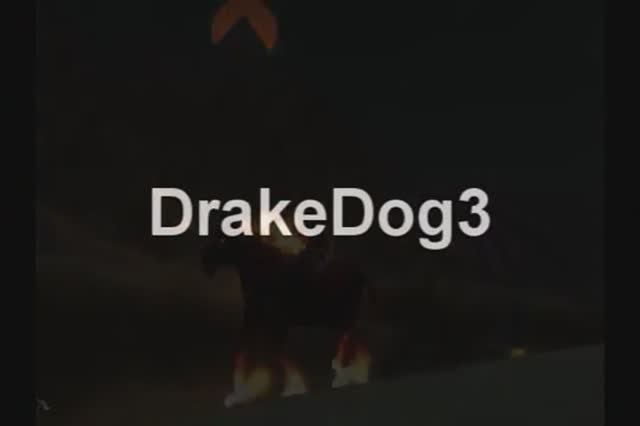 DrakeDog 3 [Warlock]