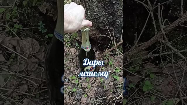 Дары лешему