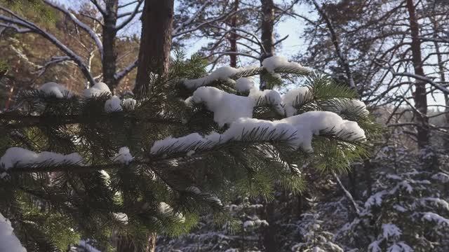 Белокуриха-24. Февраль. День 2