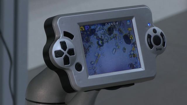 ПРОТИСТЫ ВОДОЕМОВ: Подготовка и настройка микроскопа для изучения препарата живых объектов