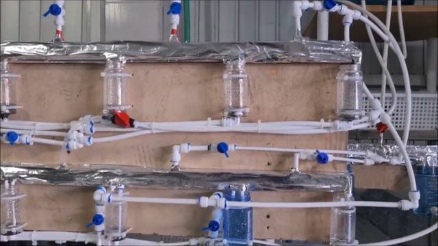 Вода Жидкая и Густая