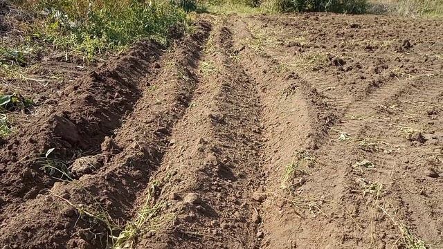 Трактора.Что сделал и что сломал ))))