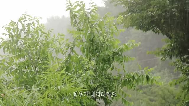 Один летний день