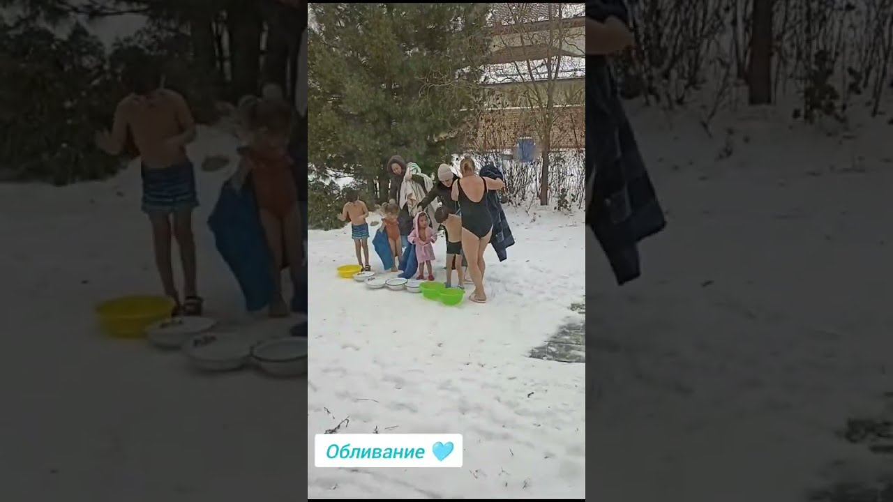 Юные моржи