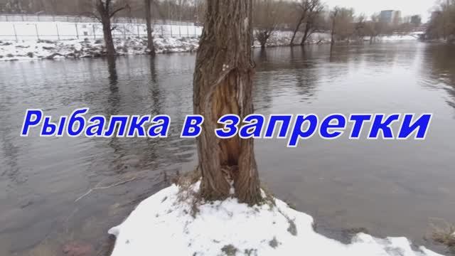 Рыбалка в запретки. 18.01.2025