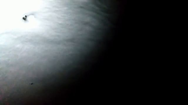 Охота на зайца ночью с засидки. Немного практики с добычей.