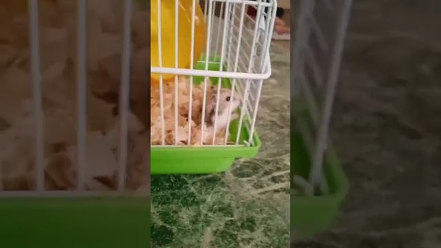 в кругу друзей