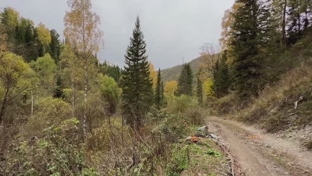 Алтайское золото-2023. День 3