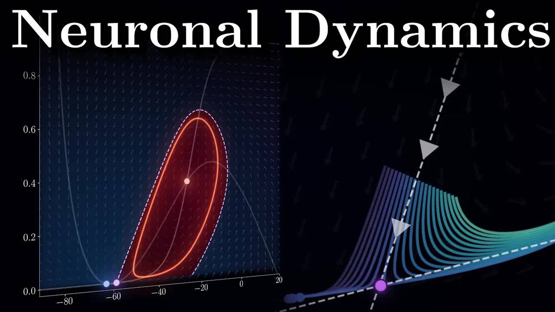 Artem Kirsanov [рус] _ Elegant Geometry of Neural Computations