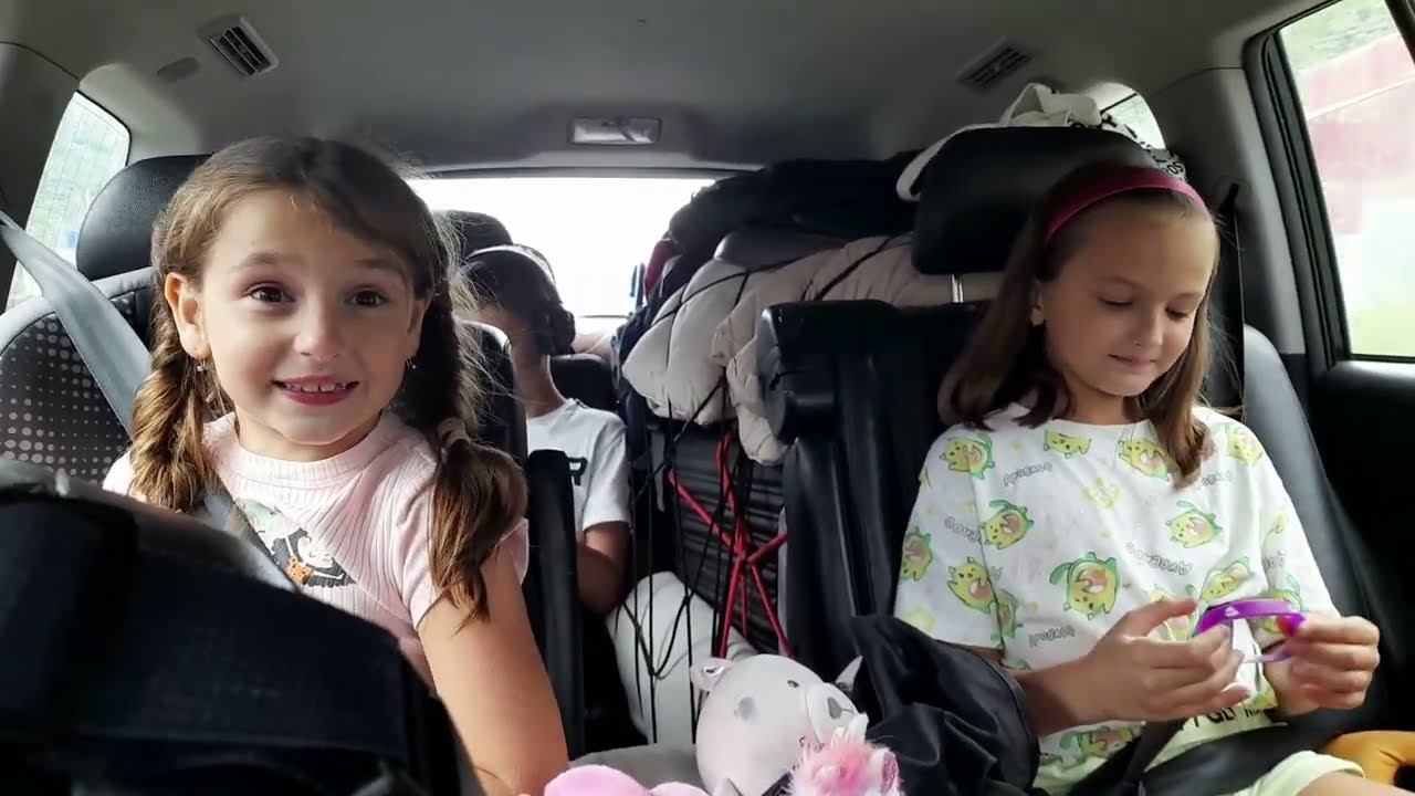 Едем по Турции. От Сарпи (граница Грузии - Турции) до города Мерсин.