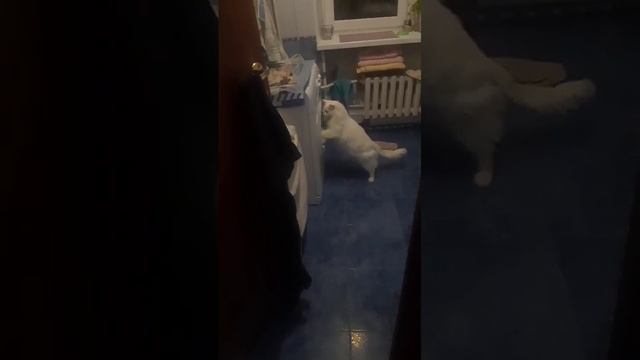 Наша прачечная