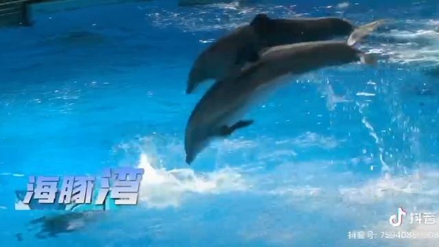 Fuli Ocean Happy World