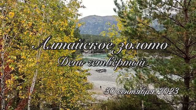 Алтайское золото-2023. День 4