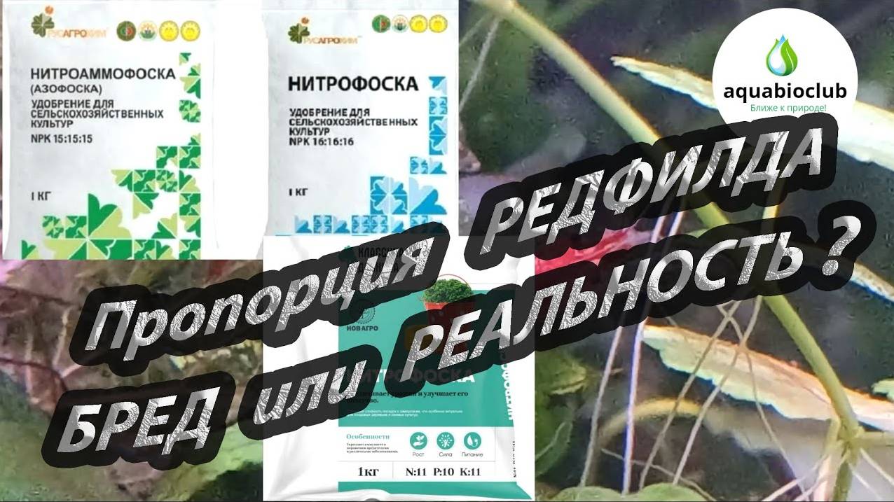 Пропорция Редфилда в аквариумистике - бред или реальность? Собственный опыт и аргументы.
