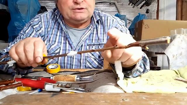 Эксперимент со вставкой.  Для чего нужна? Дерево сад и другие возможности.