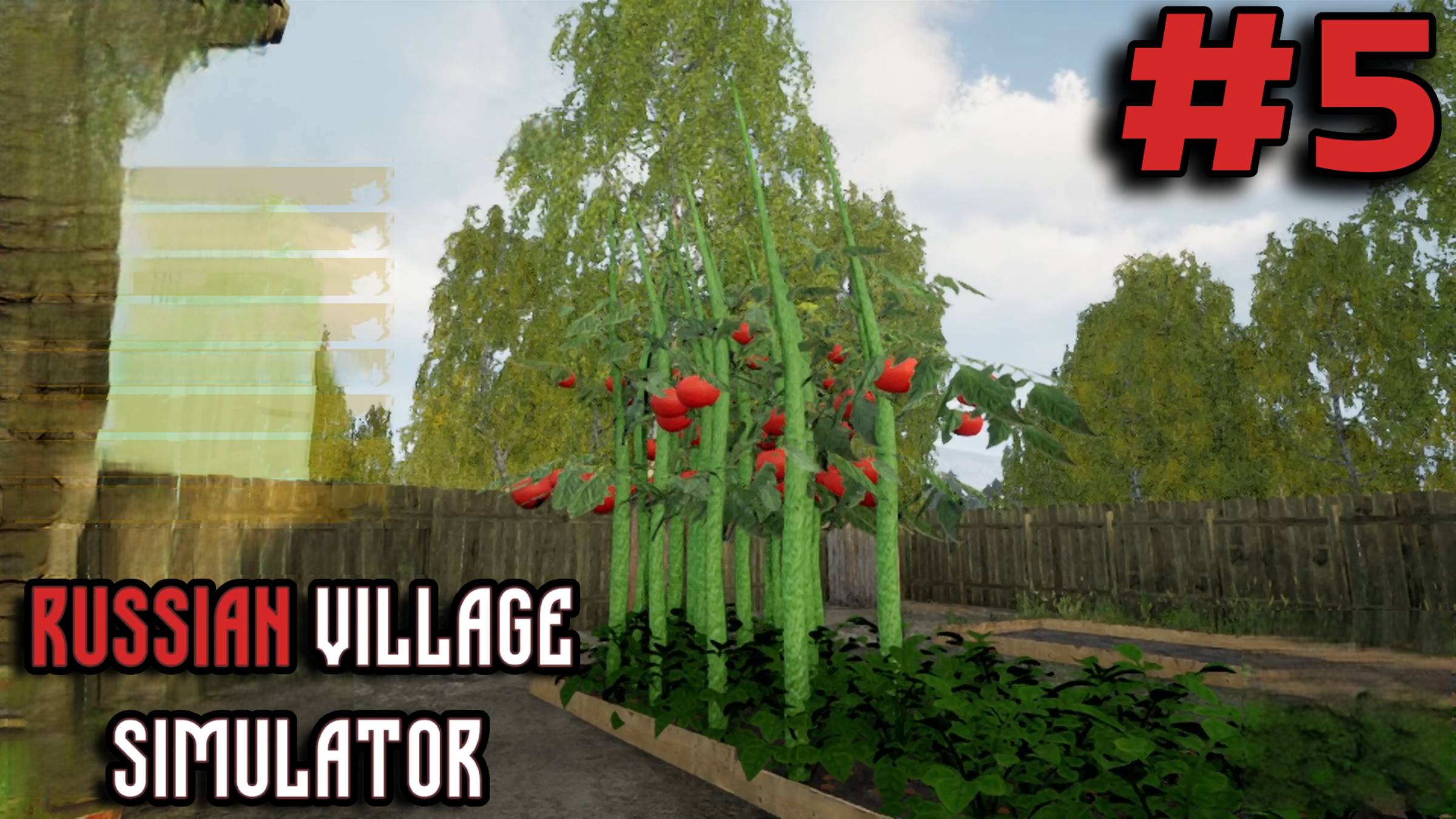 ПОМИДОРЫ-ГИГАНТЫ ► Симулятор Русской Деревни #5