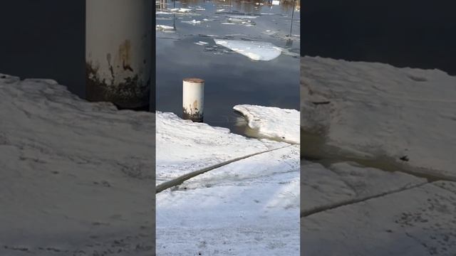 Прекрасный праздник движения льда по рекам ты помнишь все и снова прощаешь…