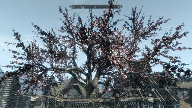 СКАЙРИМ САМЫЕ ЛУЧШИЕ ДЕРЕВЬЯ ПЕРКОВ