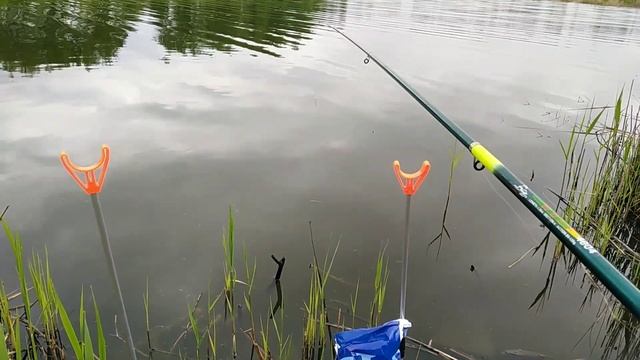 Рыбалка весной. Ловим карася на поплавок.